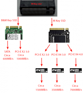 Tutti i modelli di SSD: SATA, M.2, PCI-Express